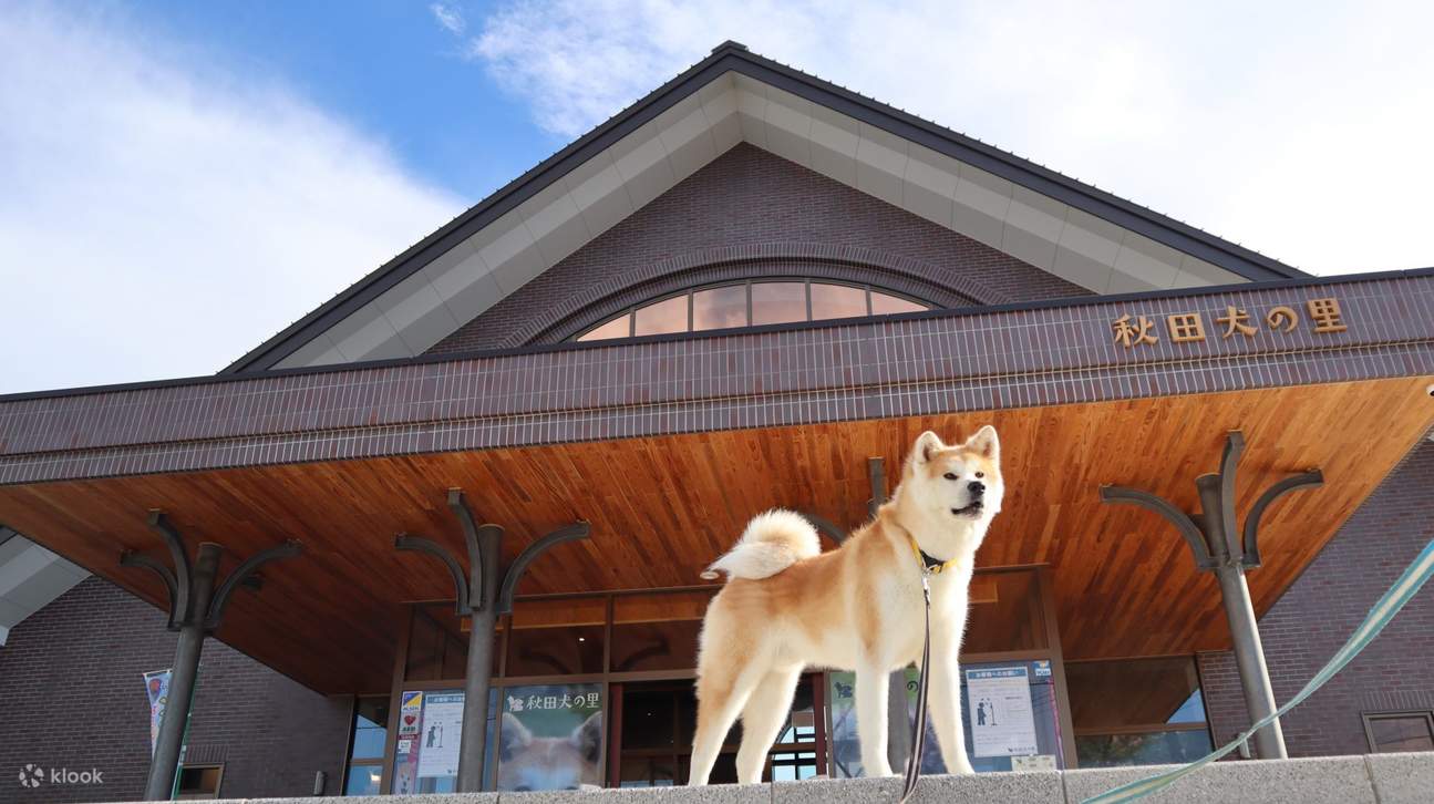 Akita City and Odate Private Charter Day Tour - Klook